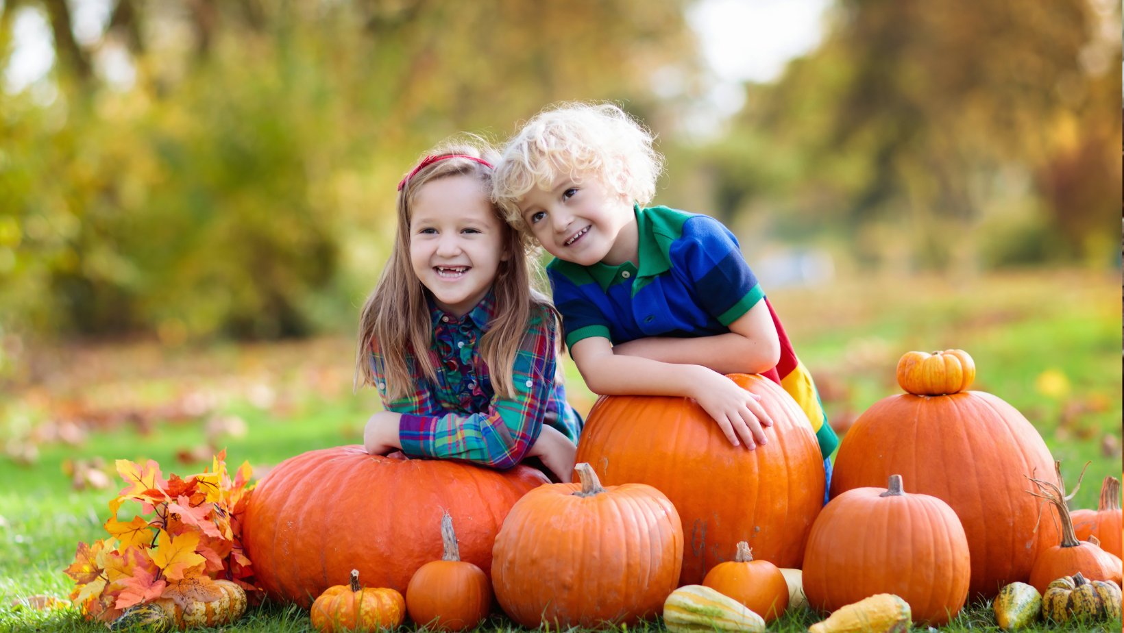 Thanksgiving in the Classroom: 5 Fun activities for Esl Teachers. - La ...